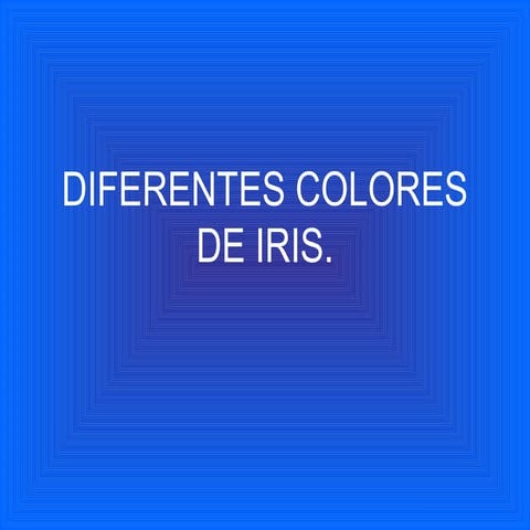 Diferentes colores de iris. | PPT