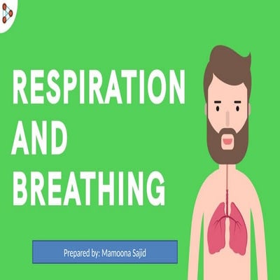 Difference between Breathing and Respiration | PPTX
