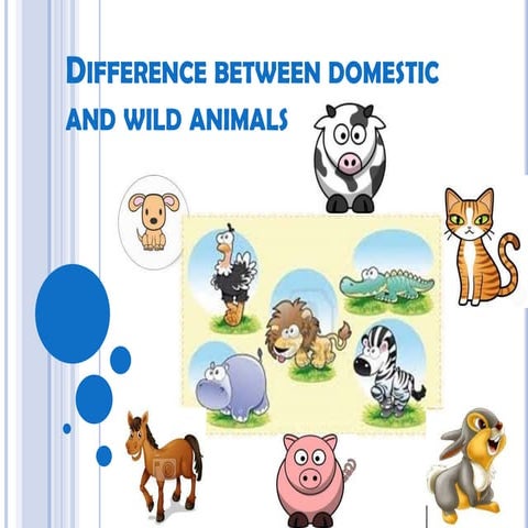wild and domestic animals | PPT