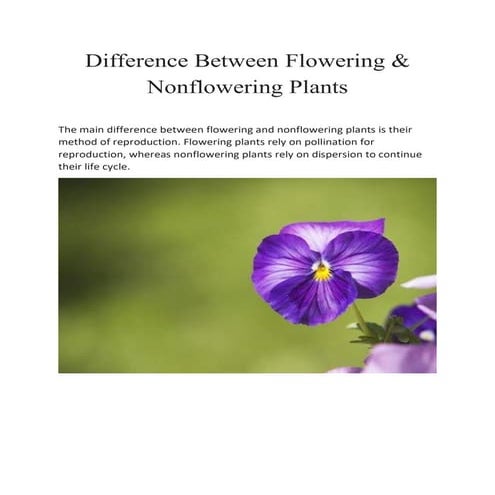 FLOWERING AND NON-FLOWERING PLANTS.pptxFLOWERING AND NON-FLOWERING ...
