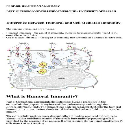 What Is The Difference Between Cell Mediated And Humoral