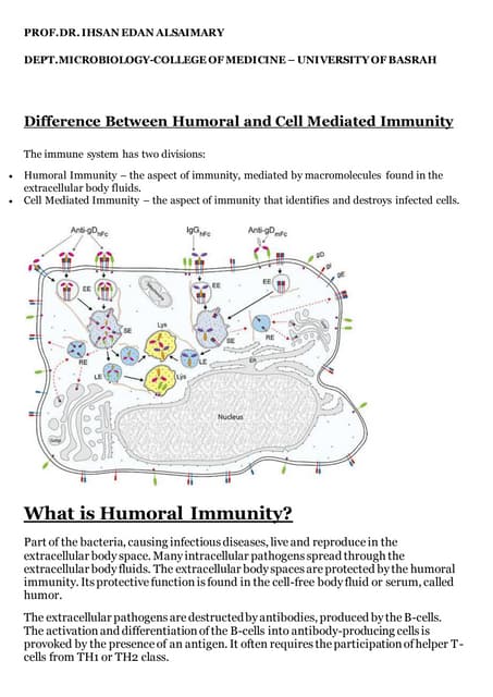 Humoral immunity | PPT