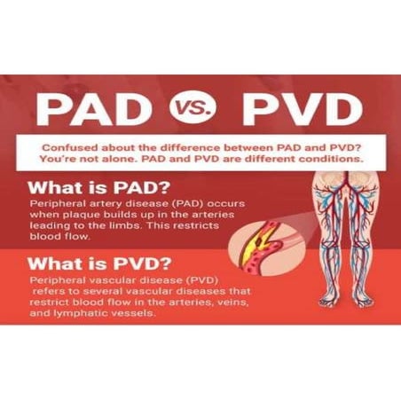 PAD vs PVD: What are the Differences? | USA Vascular Centers | PDF