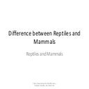 Difference between reptiles and mammals