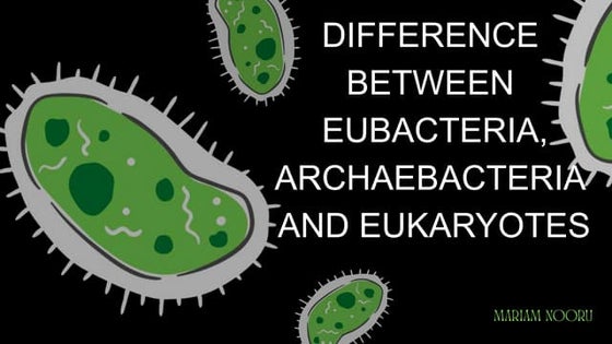 Eubacteria | PPT