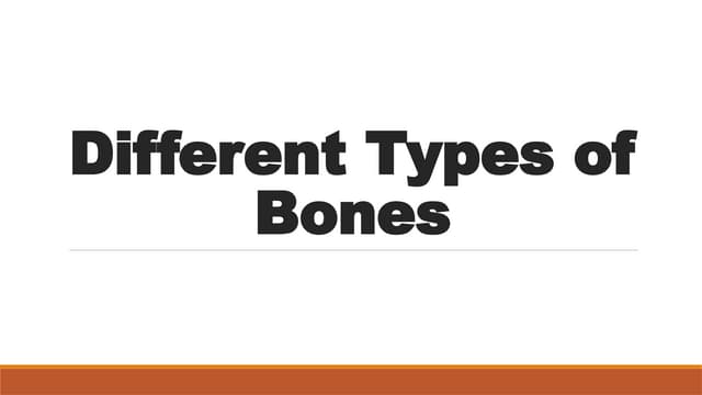 Skeletal system powerpoint | PPT