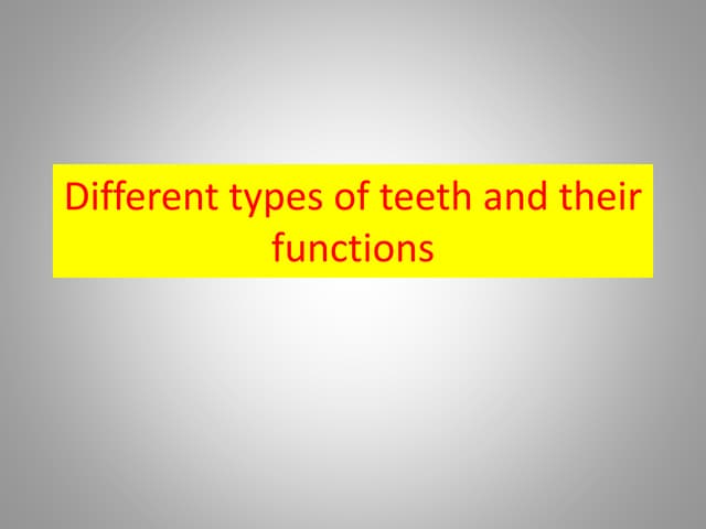 Types of teeth | PPTX
