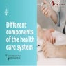 Different components of the health care system.pptx
