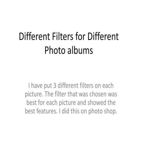 Different filters for different photo albums | PPTX