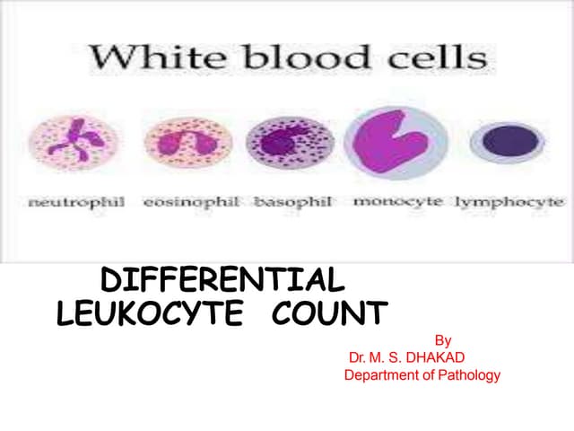 Differential cell count | PDF
