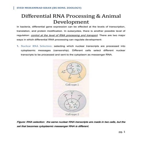 Differential RNA Processing & Animal Development | PDF