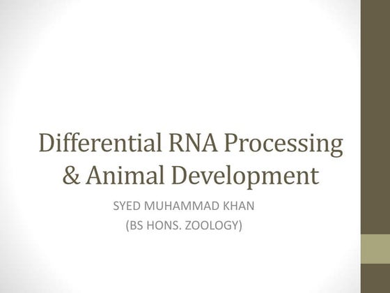 Developmental Specification & Differentiation | PDF | Biological ...