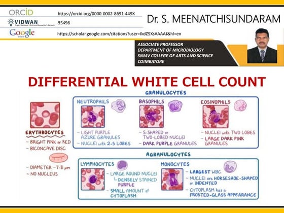 Practical 1 To Determine Differential Leukocytes Count DLC.pptx
