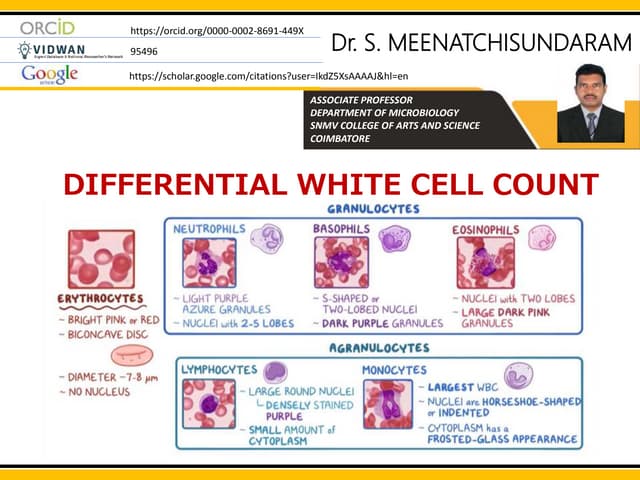 Practical 1 To Determine Differential Leukocytes Count DLC.pptx