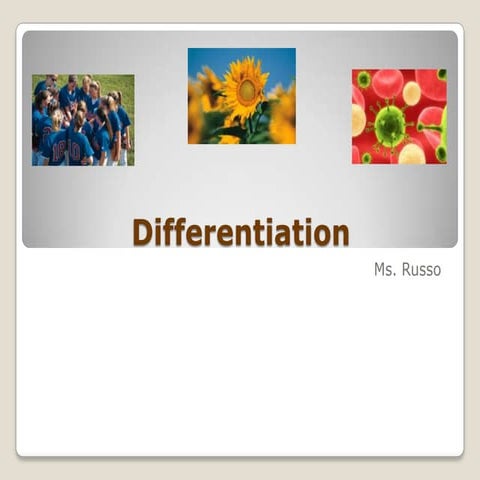 Differentiation | PPTX