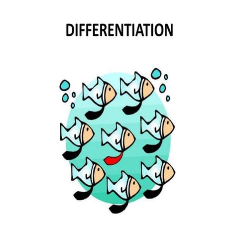 Differentiation in the classroom | PPTX