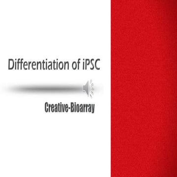 Differentiation of ipsc | PDF