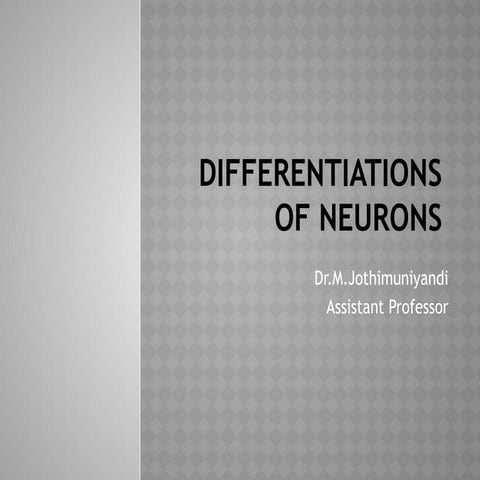 Differentiation of Neurons - Dr.M.Jothimuniyandi | PPTX