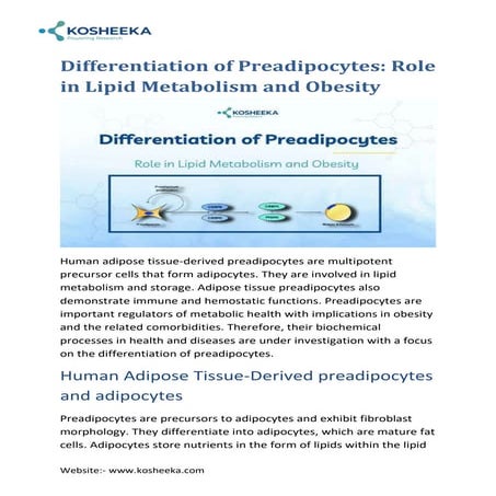 Differentiation of Preadipocytes: Role in Lipid Metabolism and Obesity ...