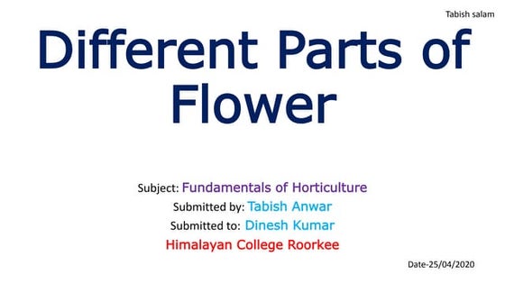 Sexual Reproduction in Flowering Plants (Part I) | PPT
