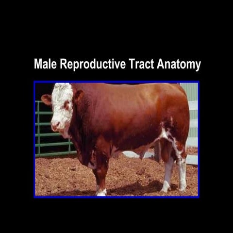 introduction to reproductive physiology of farm animals | PPTX