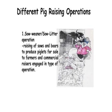 Different Pig Raising Operations.pptx