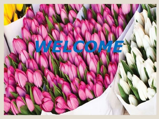 Simple and complex tissue (permanent tissue) | PDF | Biological ...