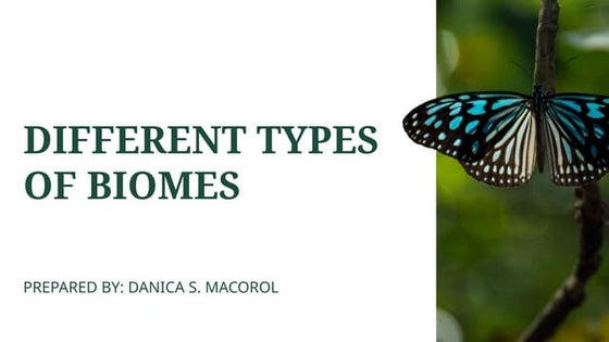 Animals habitat and adaptations- habitat | PPTX