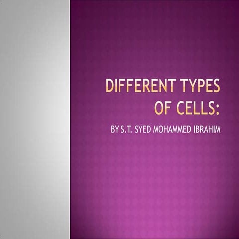 Different types of cells | PPT