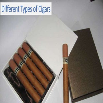 Different types of cigars | PPTX