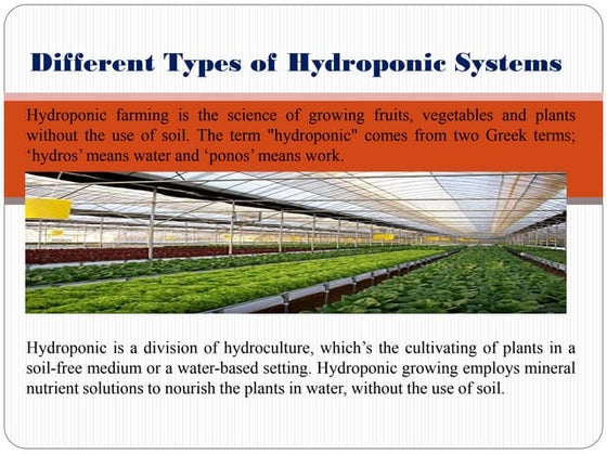 Hydroponics | PDF