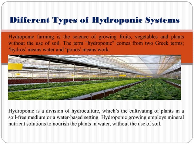 HYDROPHONICS | PPT