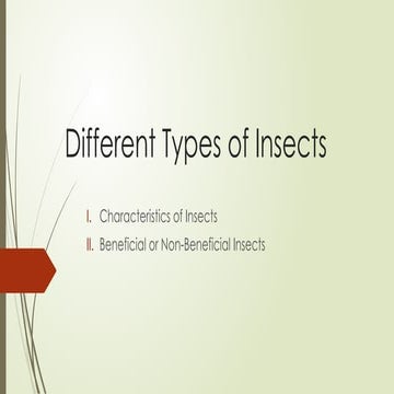 Different Types of Insects and their cha | PPTX