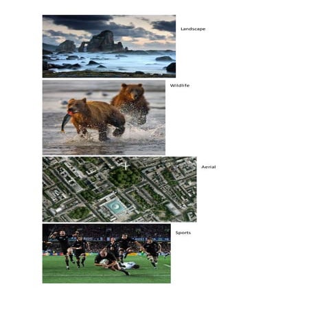 Different types of photos | PDF