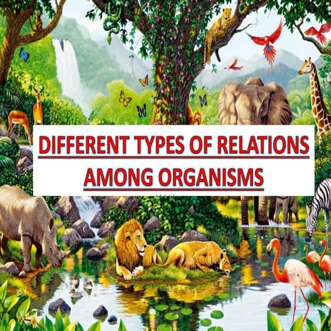 Different types of relations among organisms (1) | PPTX