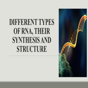 DIFFERENT TYPES OF RNA, THEIR SYNTHESIS AND STRUCTURE.pptx
