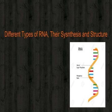 Different Types of RNA, Their Sysnthesis and Structure.pptx
