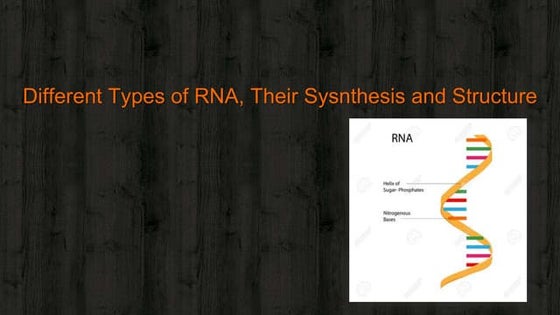 RNA introduction elementray.pptx