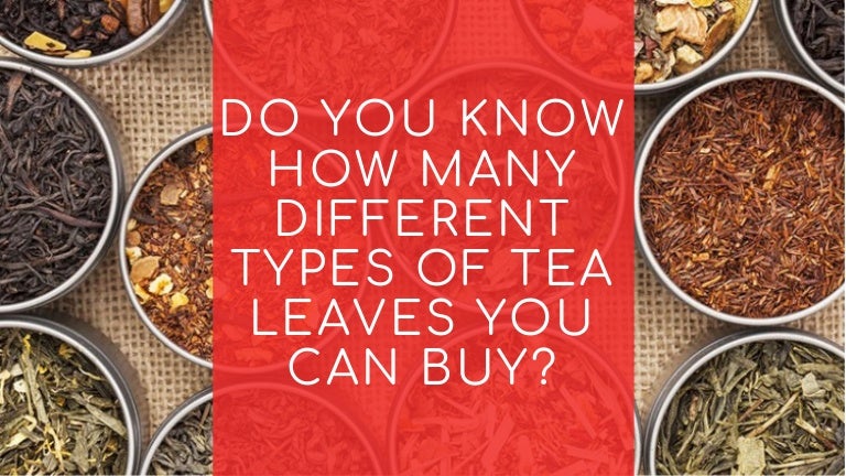 DO YOU KNOW HOW MANY DIFFERENT TYPES OF TEA LEAVES YOU CAN BUY do-you-know-how-many-different-types-of-tea-leaves-you-can-buy