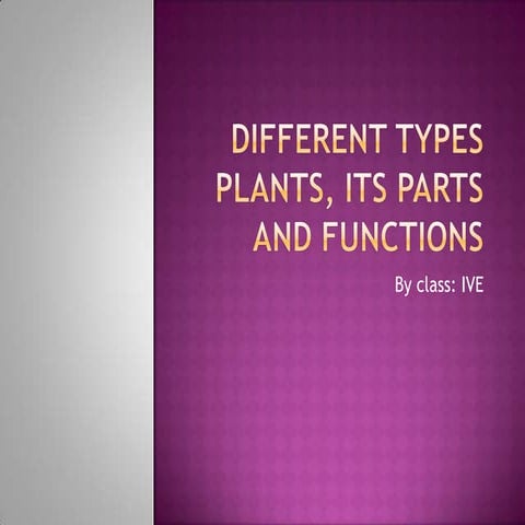 Different types plants, its parts and functions | PPTX