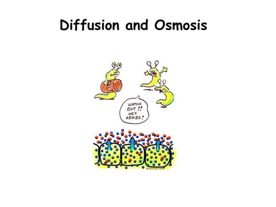 Osmosis and Diffusion processes and differences | PPTX