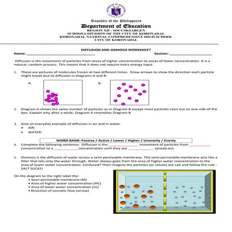 Diffusion-and-Osmosis-Worksheet.pdfhshss | PDF