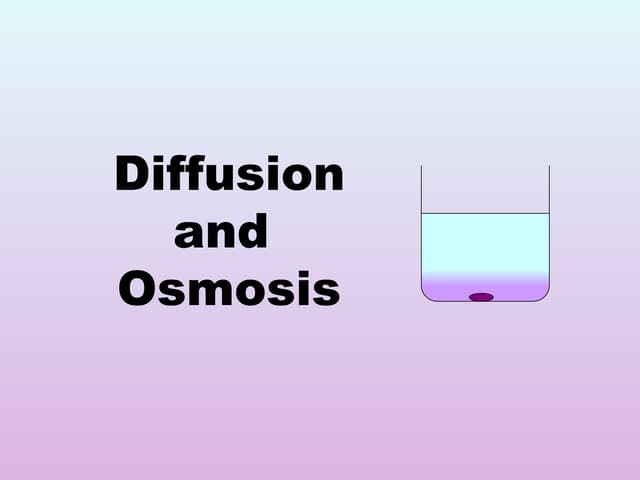 Diffusion and Osmosis | PPT