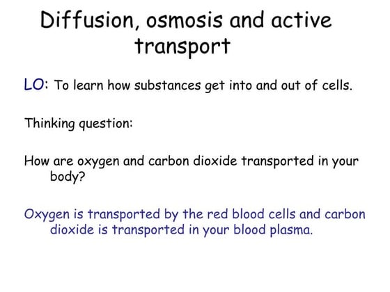 Osmosis | PPT
