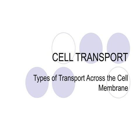 Diffusion and Osmosis PowerPoint Presentation | PPT