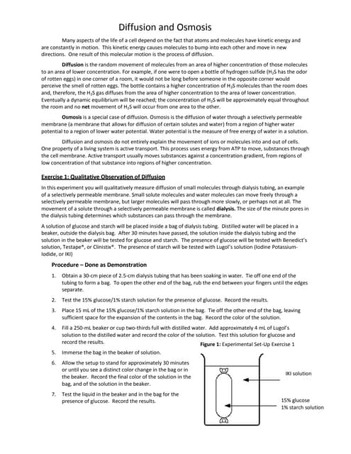 Bio22 Lab - Ex 4 (Cell Transport - Osmosis in Human RBC) | PPTX | Blood ...