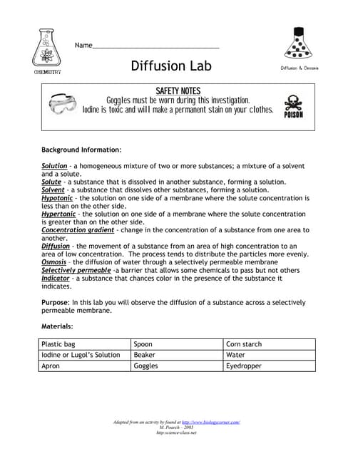 Diffusion lab | PDF