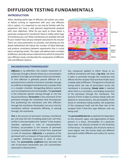 The use of the elevated plus maze | PDF | Brain and Nervous System Disorders | Diseases and ...