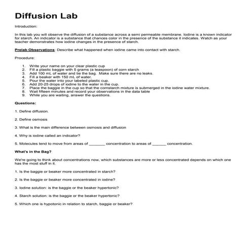 Diffusion lab | DOCX