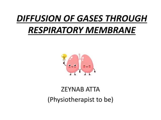 Gas diffusion in lung | PPT